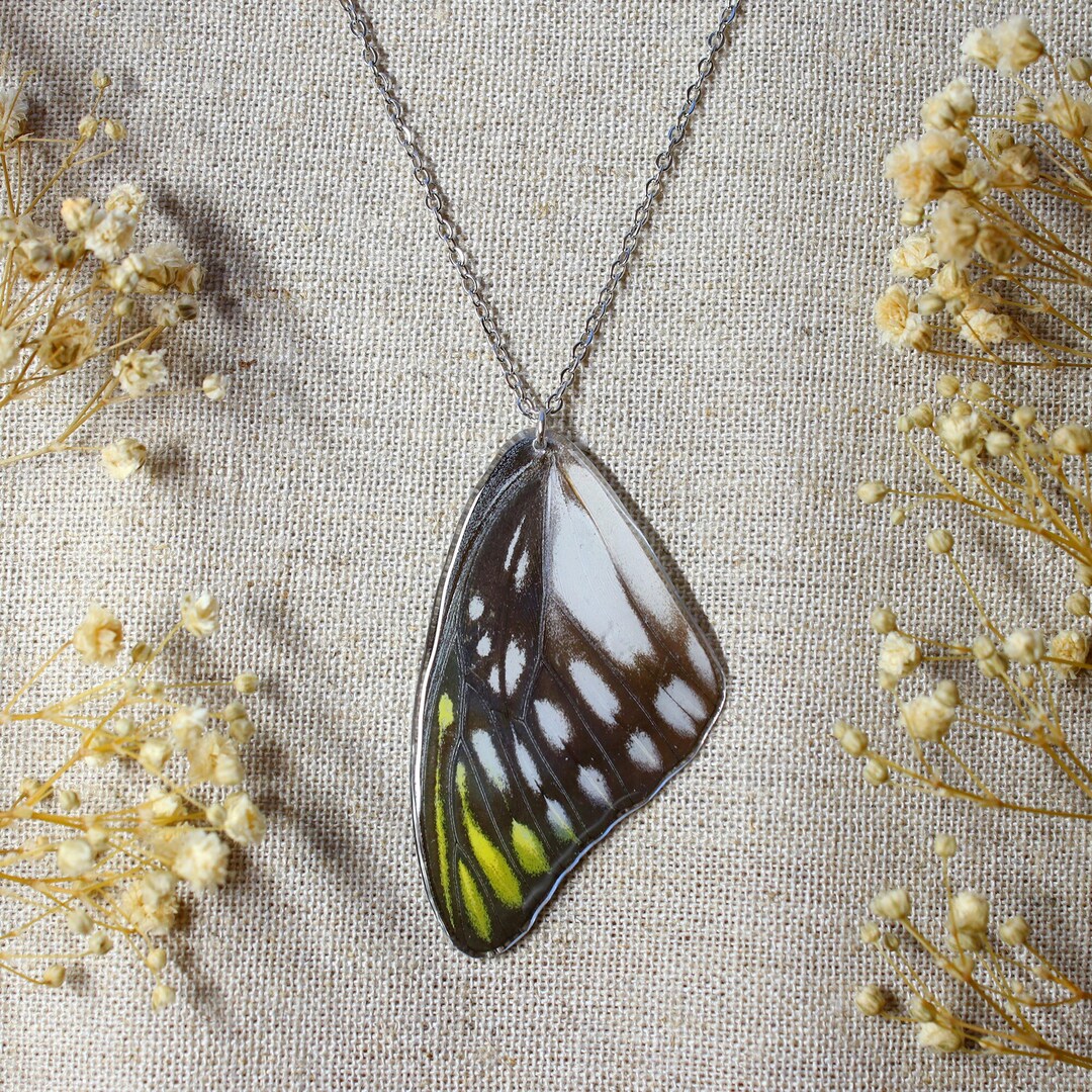 Spotted Sawtooth Butterfly Necklace, Real Butterfly Wing Necklace ...