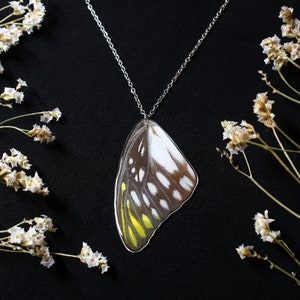 Spotted Sawtooth Butterfly Necklace, Real Butterfly Wing Necklace ...