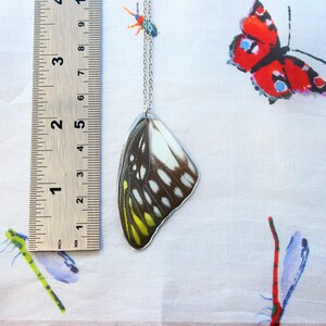 Spotted Sawtooth Butterfly Necklace, Real Butterfly Wing Necklace ...