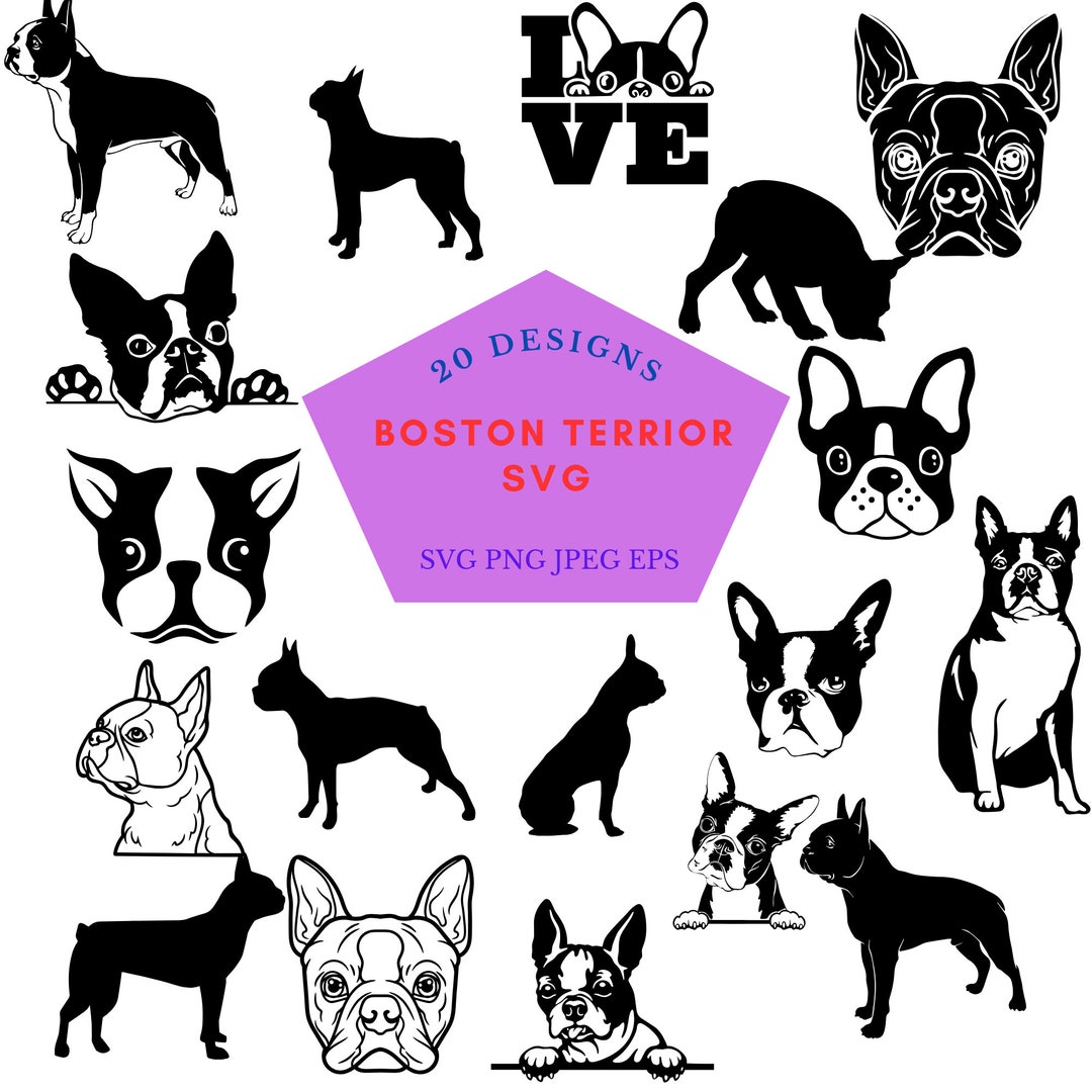 Boston Terrier Svgboston Terrierdog Svgboston Terrier Svg - Etsy
