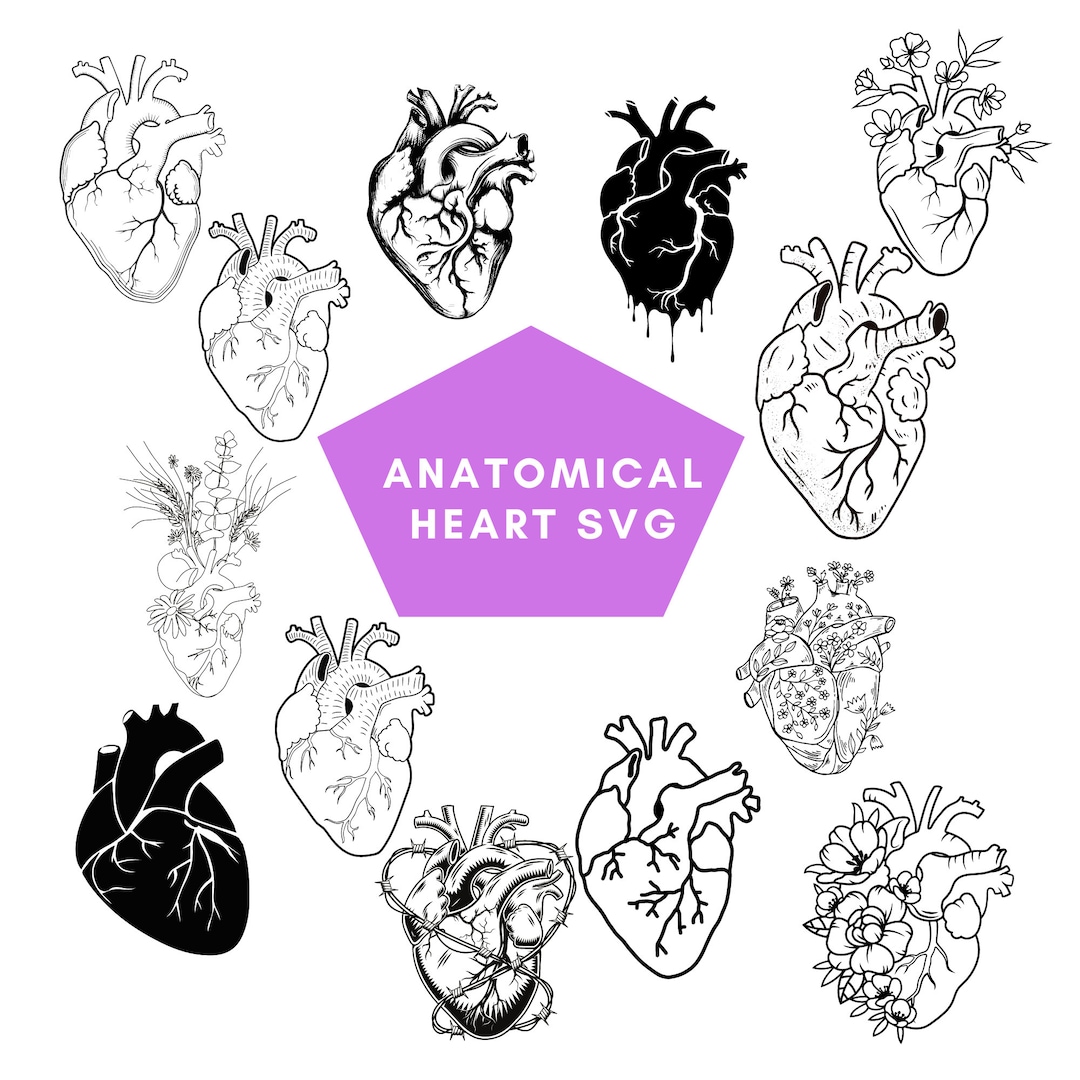 New Svg, Anatomy Svg, Anatomical Heart Svg Bundle, Flower Heart Svg ...