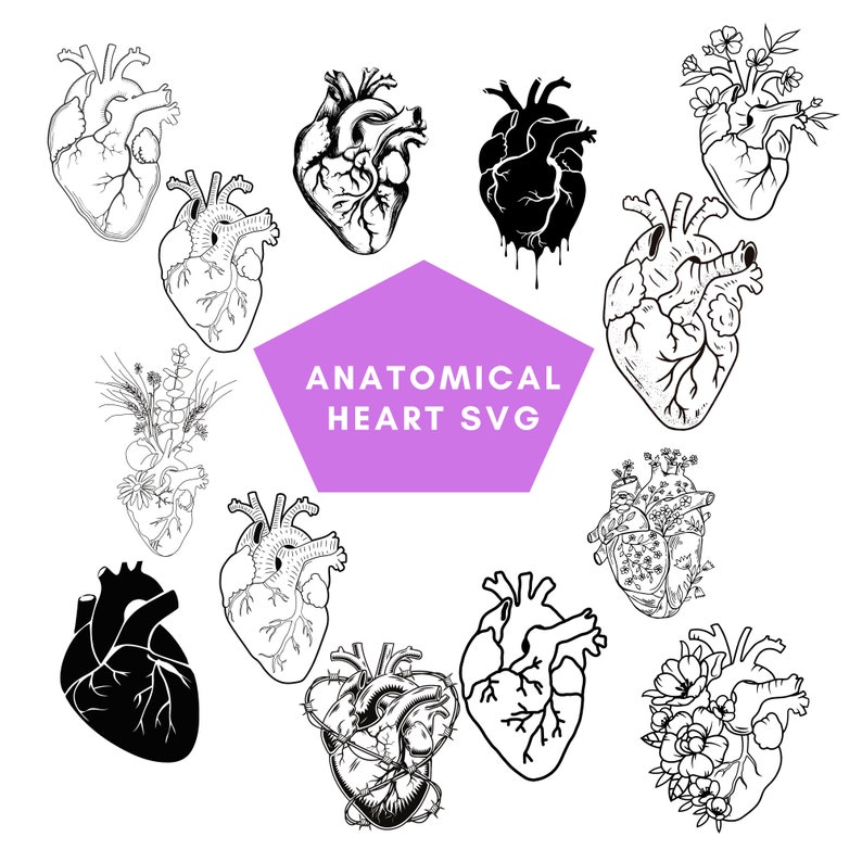 New Svg, Anatomy Svg, Anatomical Heart Svg Bundle, Flower Heart Svg ...