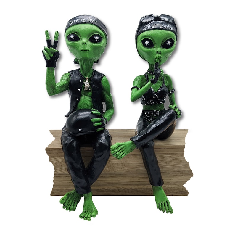 Alien Invasion Biker Babe and Biker Dude Ledge Loungers “peace & Quiet ...