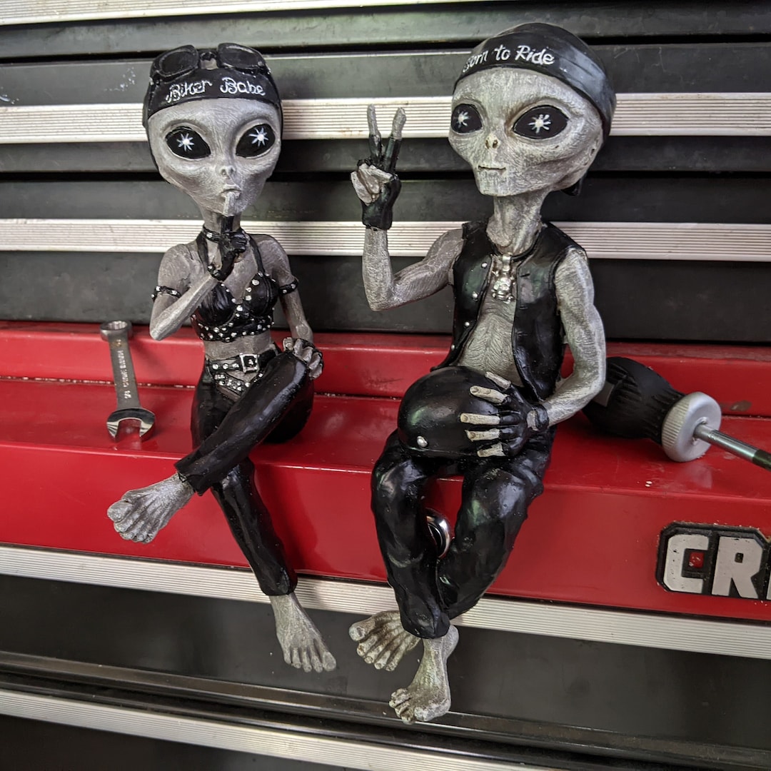 Alien Invasion Biker Babe and Biker Dude Ledge Loungers “peace & Quiet ...