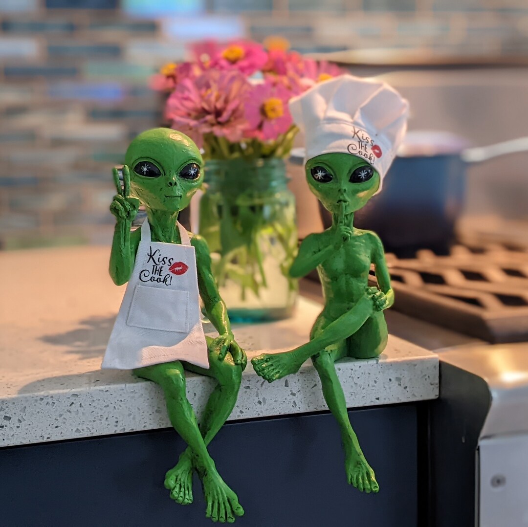 Alien Invasion kiss the Cook Ledge Loungers With Chefs Hat & Apron 10 ...