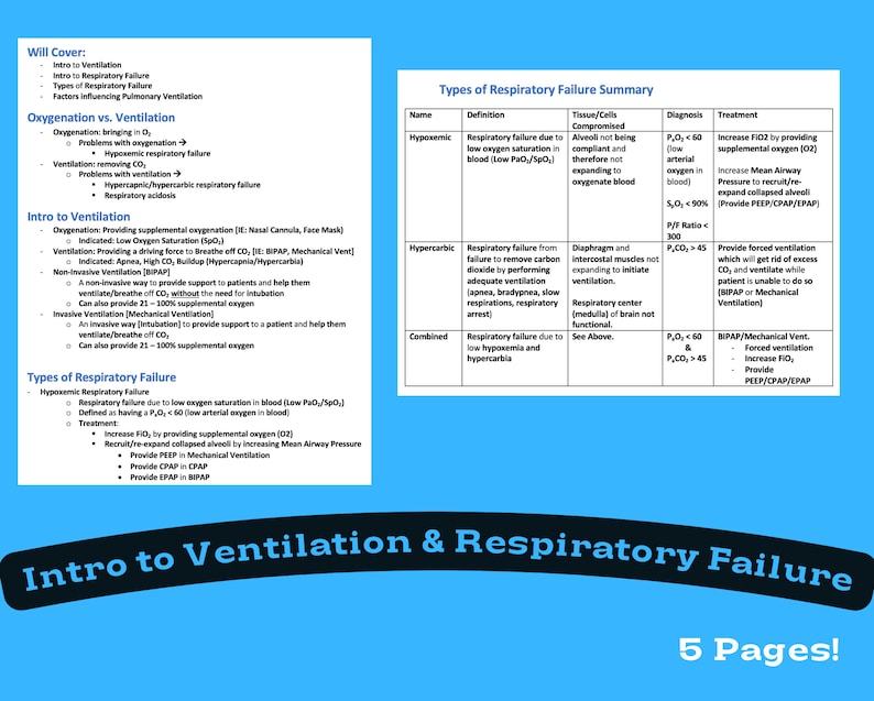 Intro to Ventilation & Types of Respiratory Failure - Etsy