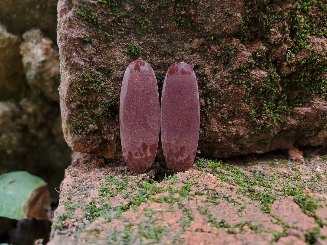 Beautiful Apache Sage Rhyolite Pair, Earrings, Jewelry, Designer ...