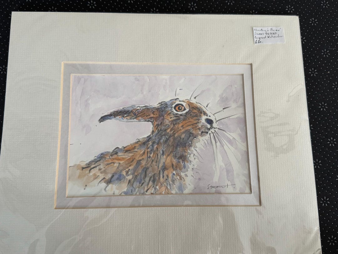 Something in the Air. Stuart Peters. Original Watercolour - Etsy