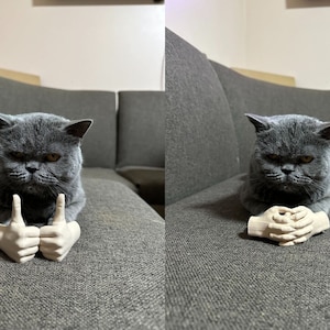 Arms for Cats 3d Printed - Etsy