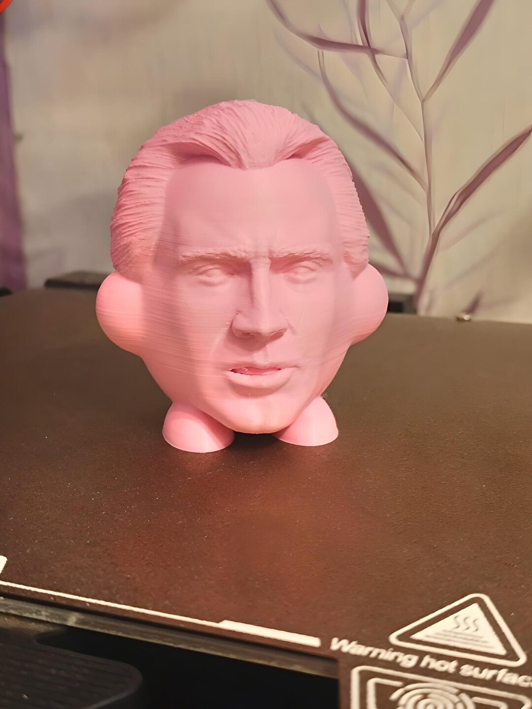 Kirbolas Cage, Nicolas Cage Kirby Cursed Mashup - Etsy