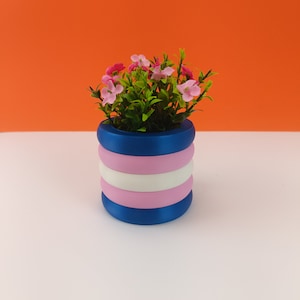 Pride Planter - Succulent Pot - Pride Flag - 3D Printed - LGBTIQA+ - Etsy