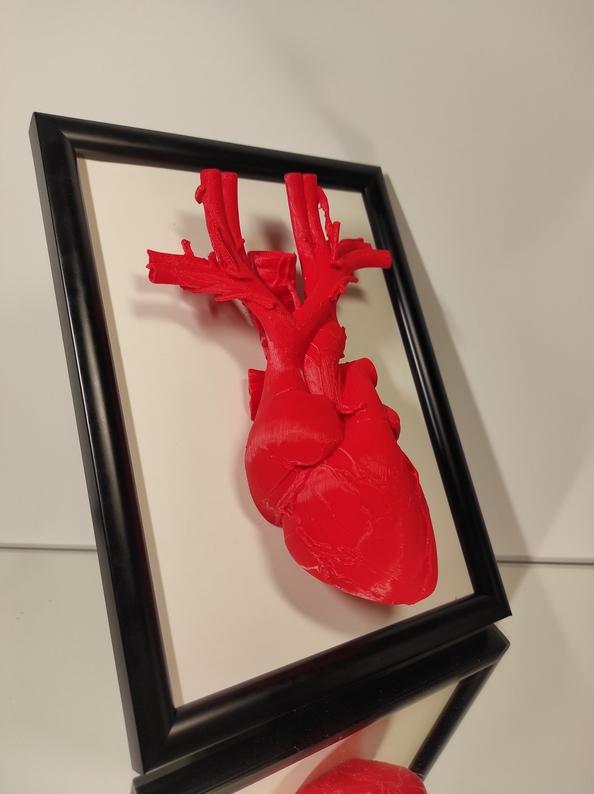 Cardia Frame: 3D Printed Anatomical Heart Wall Art - Etsy