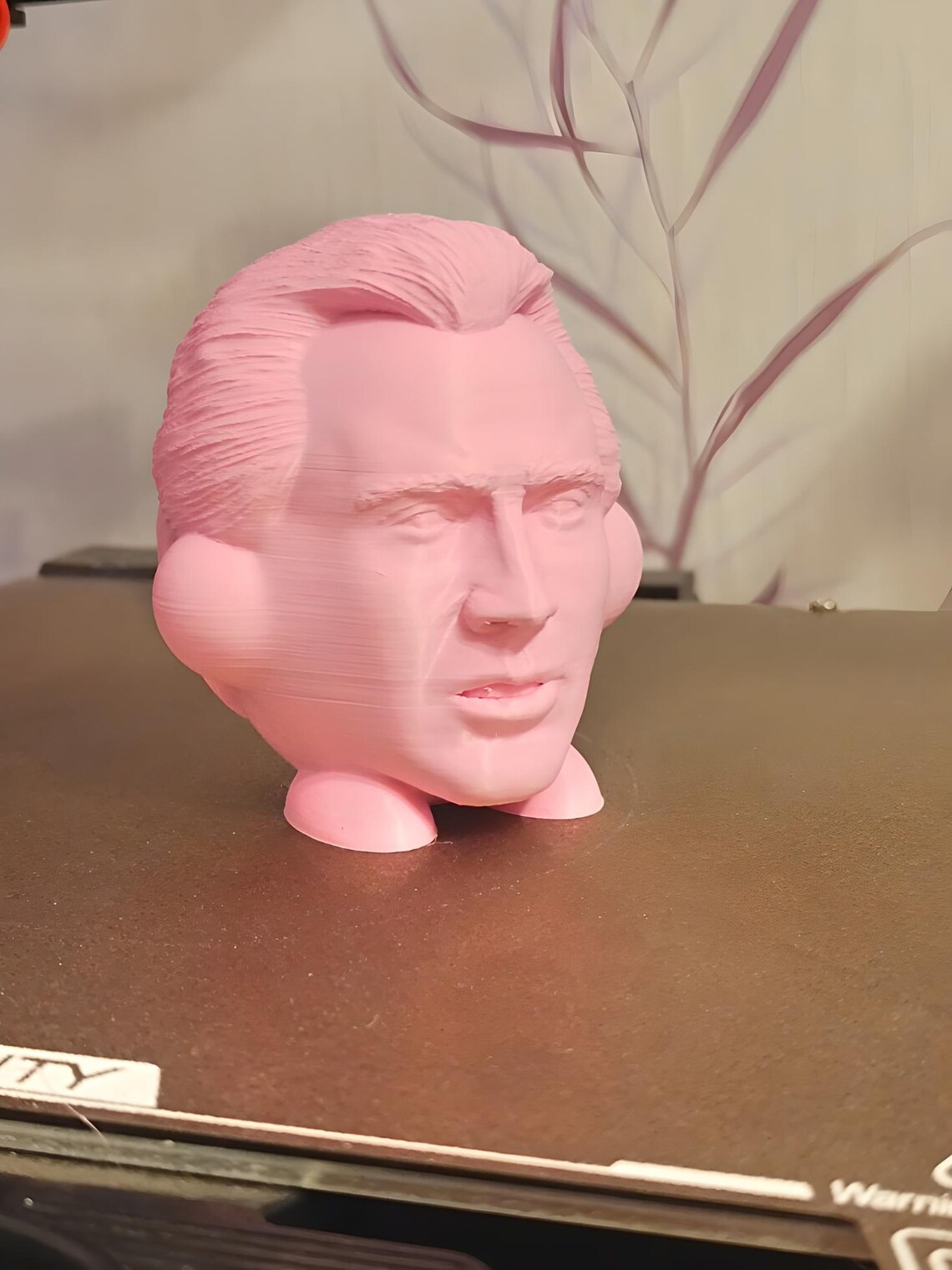 Kirbolas Cage, Nicolas Cage Kirby Cursed Mashup - Etsy