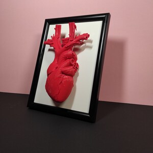 Cardia Frame: 3D Printed Anatomical Heart Wall Art - Etsy