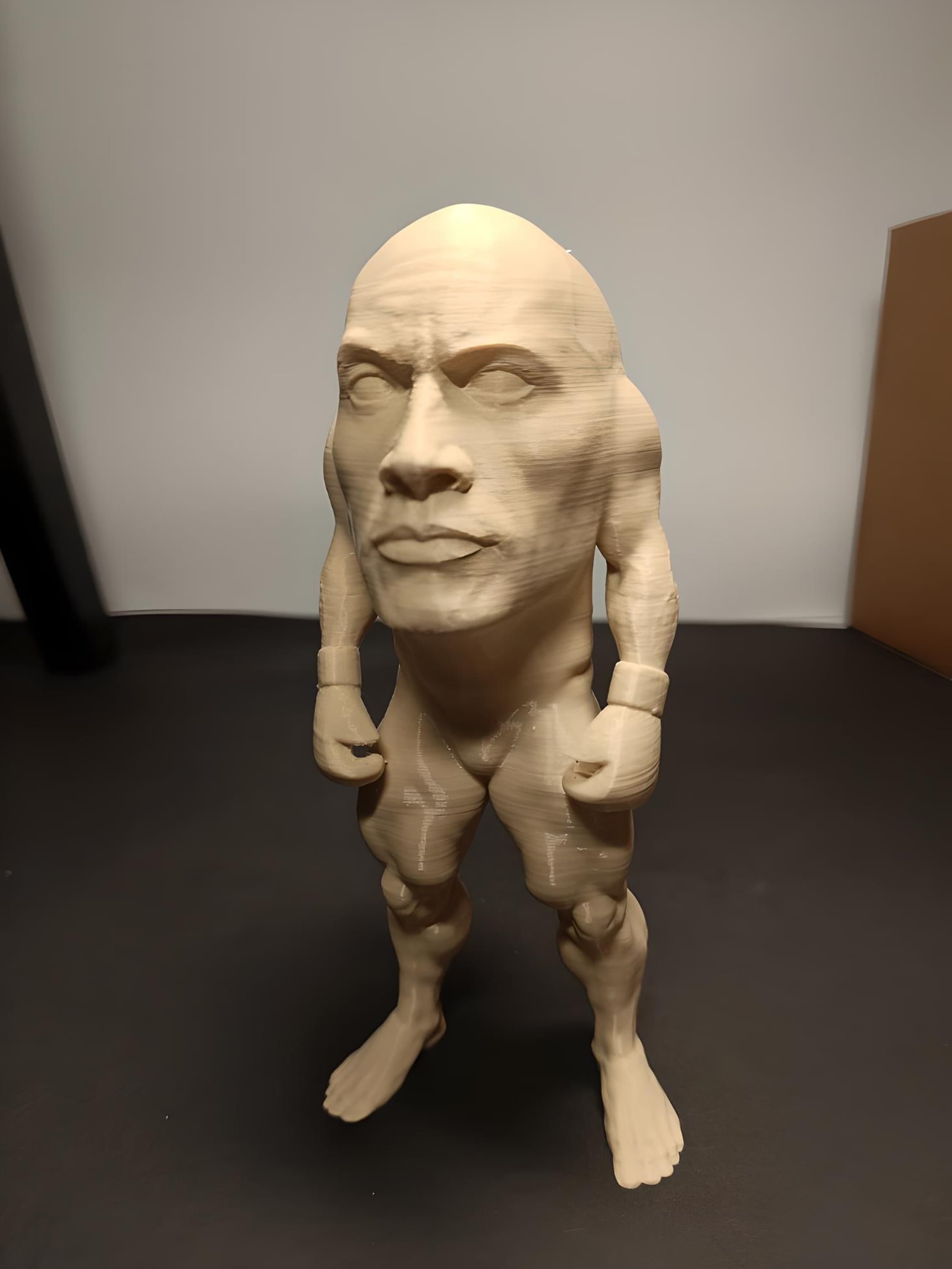 Dwayne the Rock Johnson Cursed Figurine 3D Printed - Etsy UK