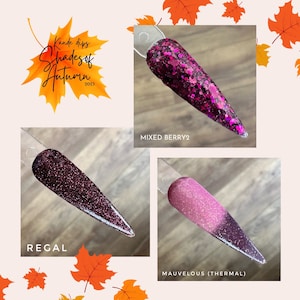 Shades of Autumn Dip Powder Collection: Fall Nail DIY Manis - Etsy