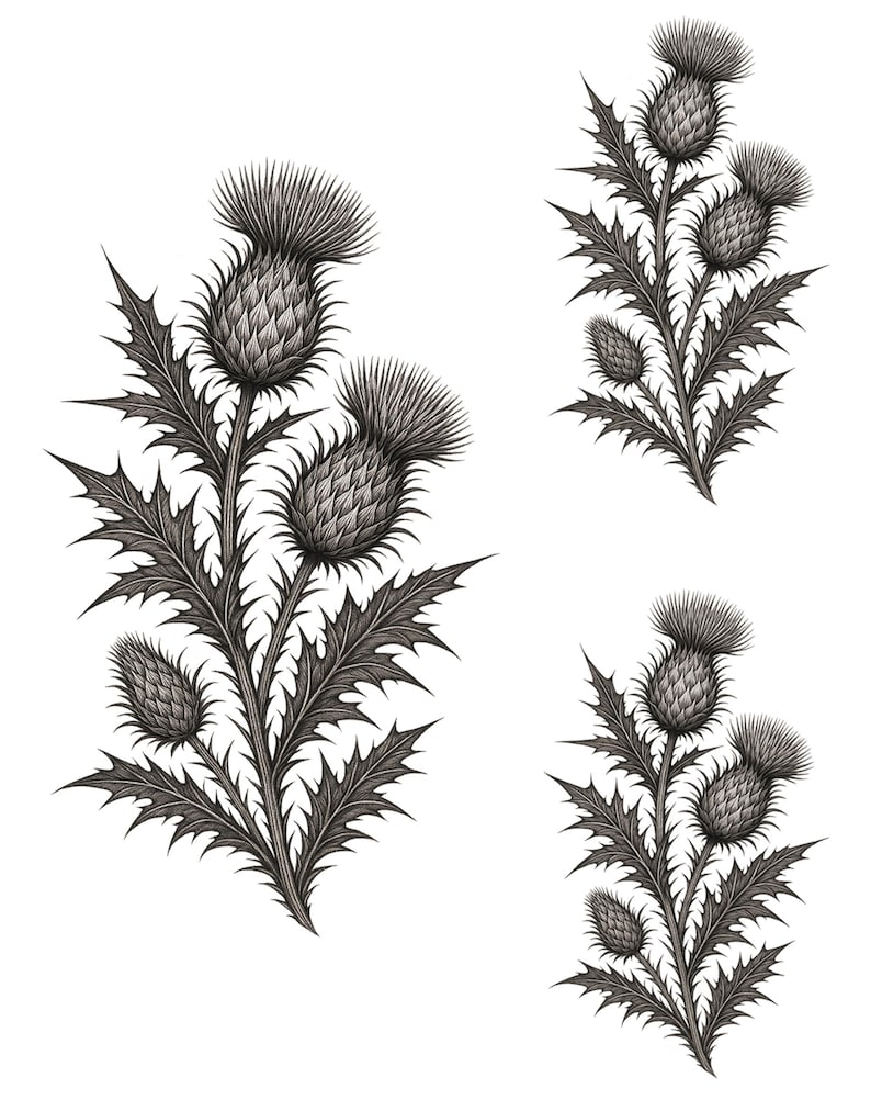 Scottish Thistle Temporary Tattoo Sheet - Elegant Black Ink Floral ...