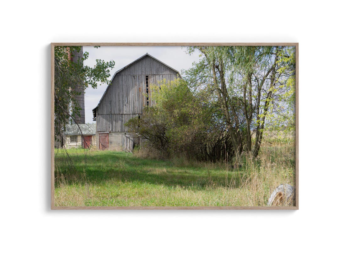 Gray Barn With an Old Tire in the Corner. Vintage Barn Photography ...