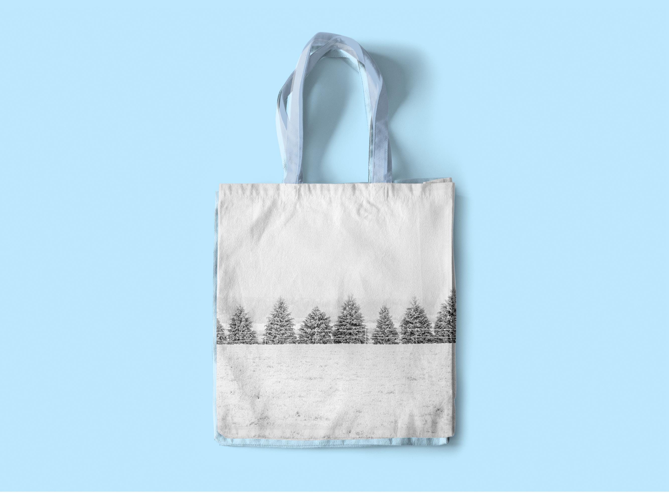 Photo of a Line of Snow-covered Pine Trees Behind a Frosty Fence Taken ...