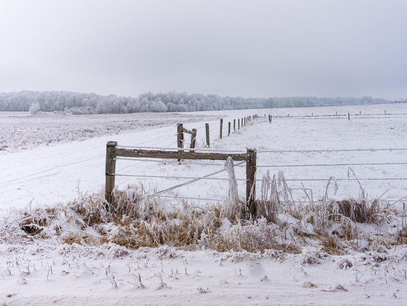 Interesting Simple Photo of a Fence Taken in the Winter in Wisconsin ...