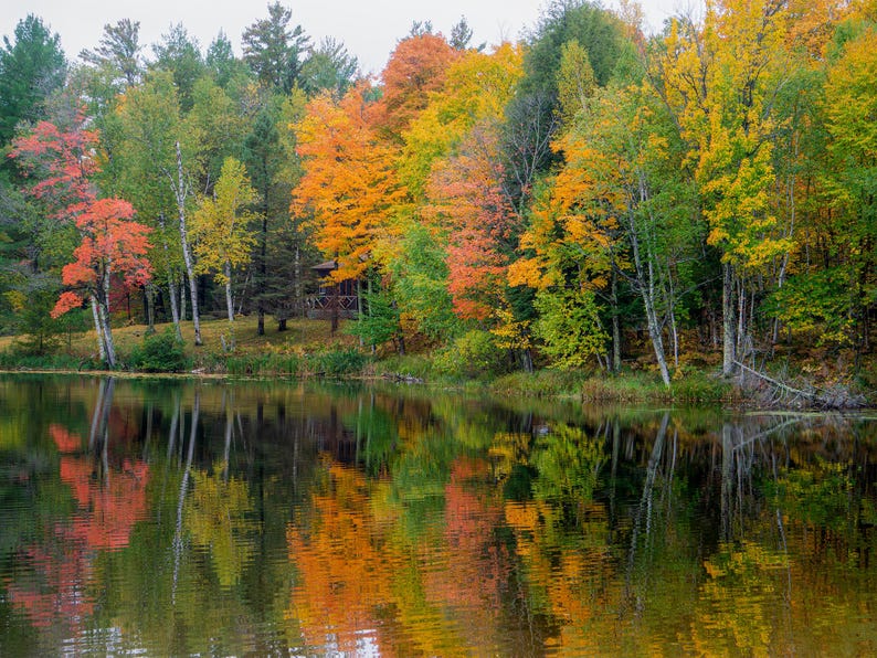 Fall Photography. Northern Wisconsin. Fall Landscape. Colorful Trees ...