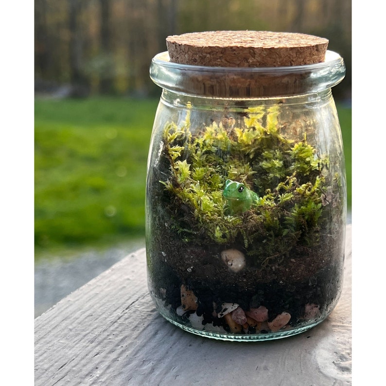 DIY Terrarium Kit for Kids: Woodland Theme Party Favor Activity ...