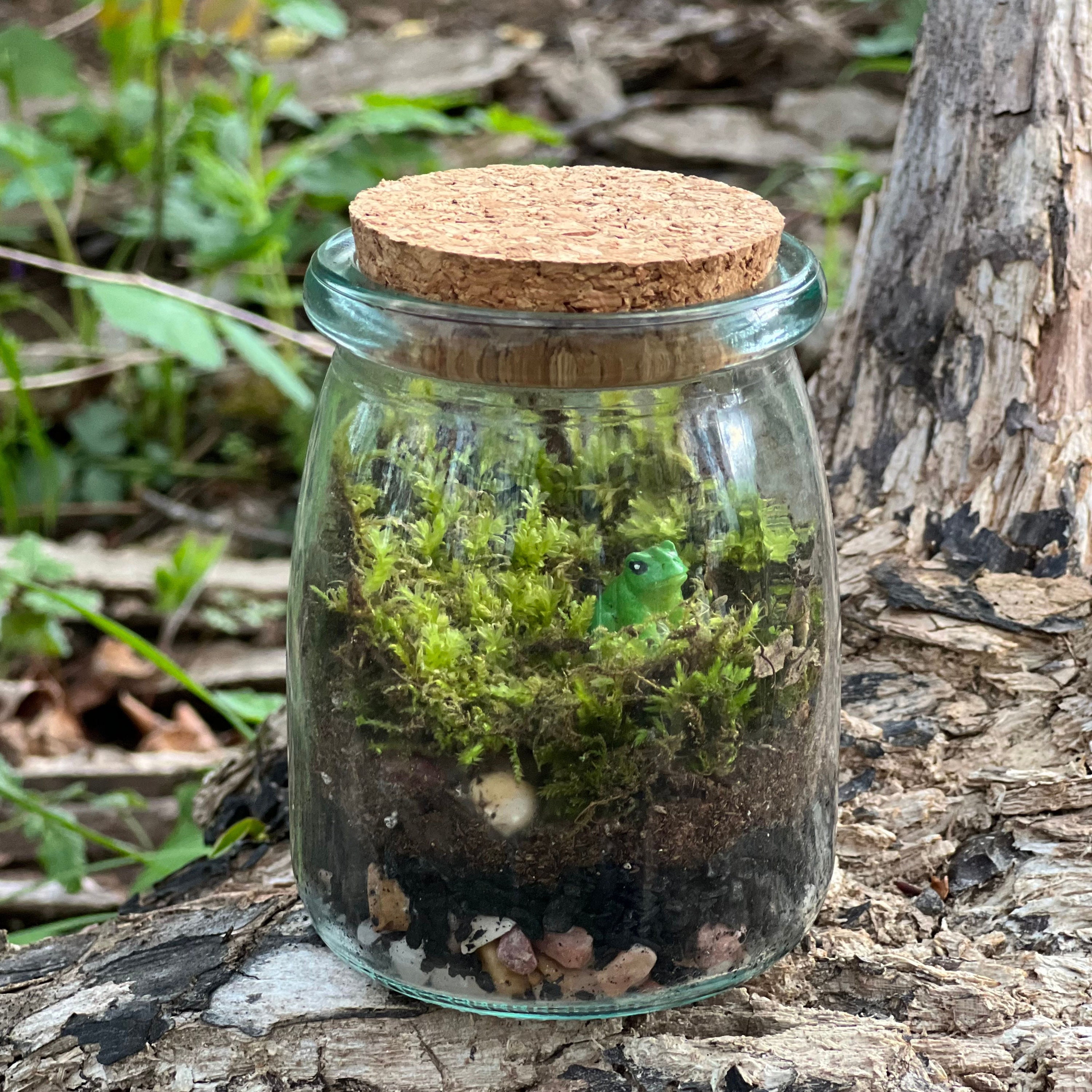 DIY Terrarium Kit for Kids: Woodland Theme Party Favor Activity ...