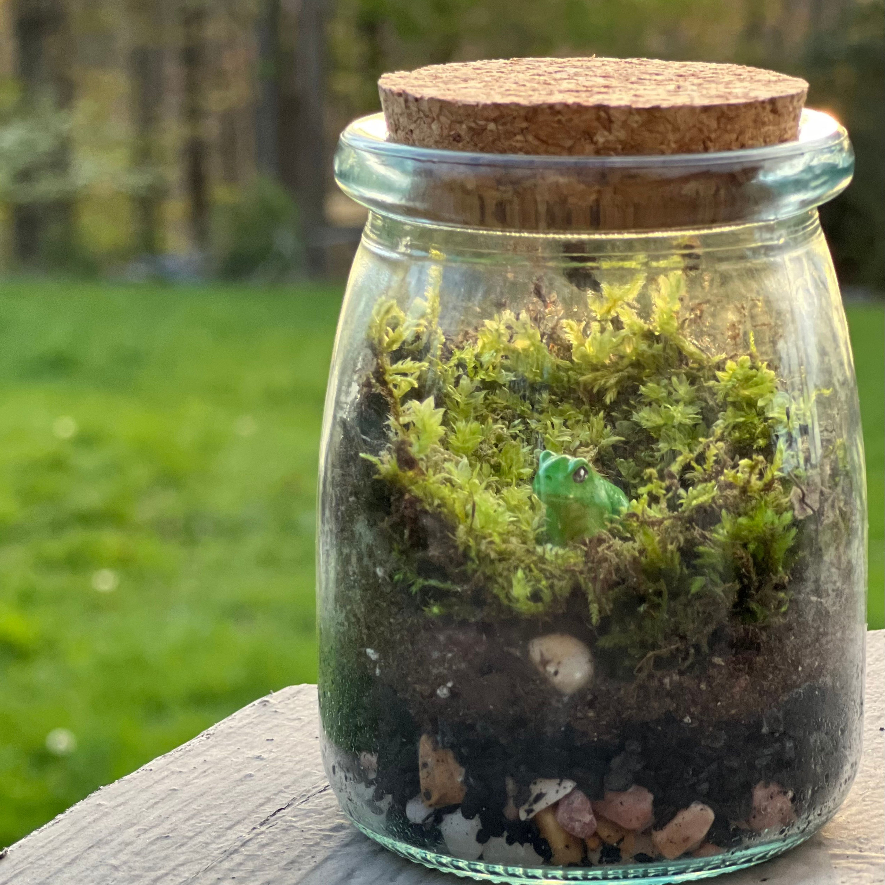 DIY Terrarium Kit for Kids: Woodland Party Favor Activity - Etsy