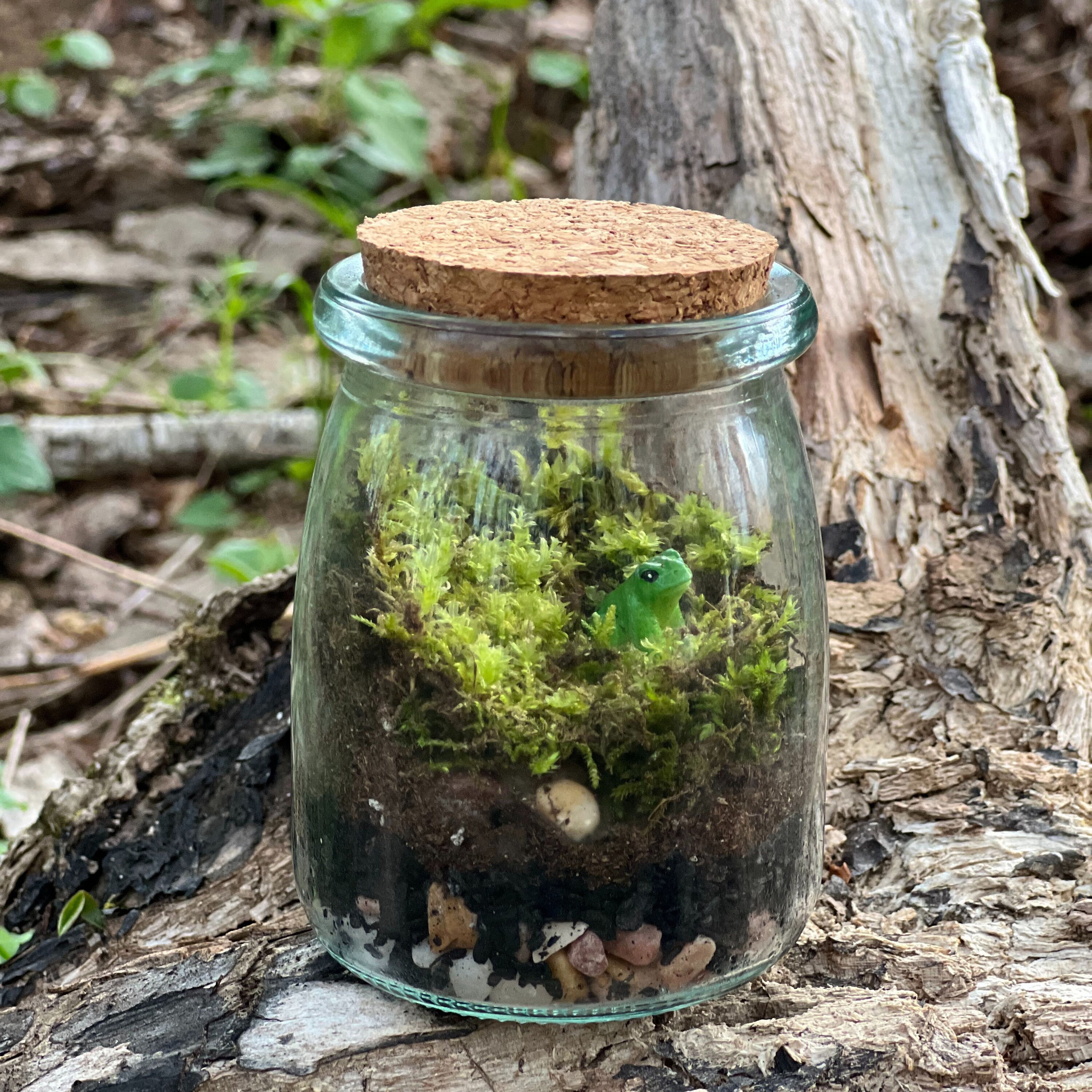 DIY Terrarium Kit for Kids: Woodland Theme Party Favor Activity ...