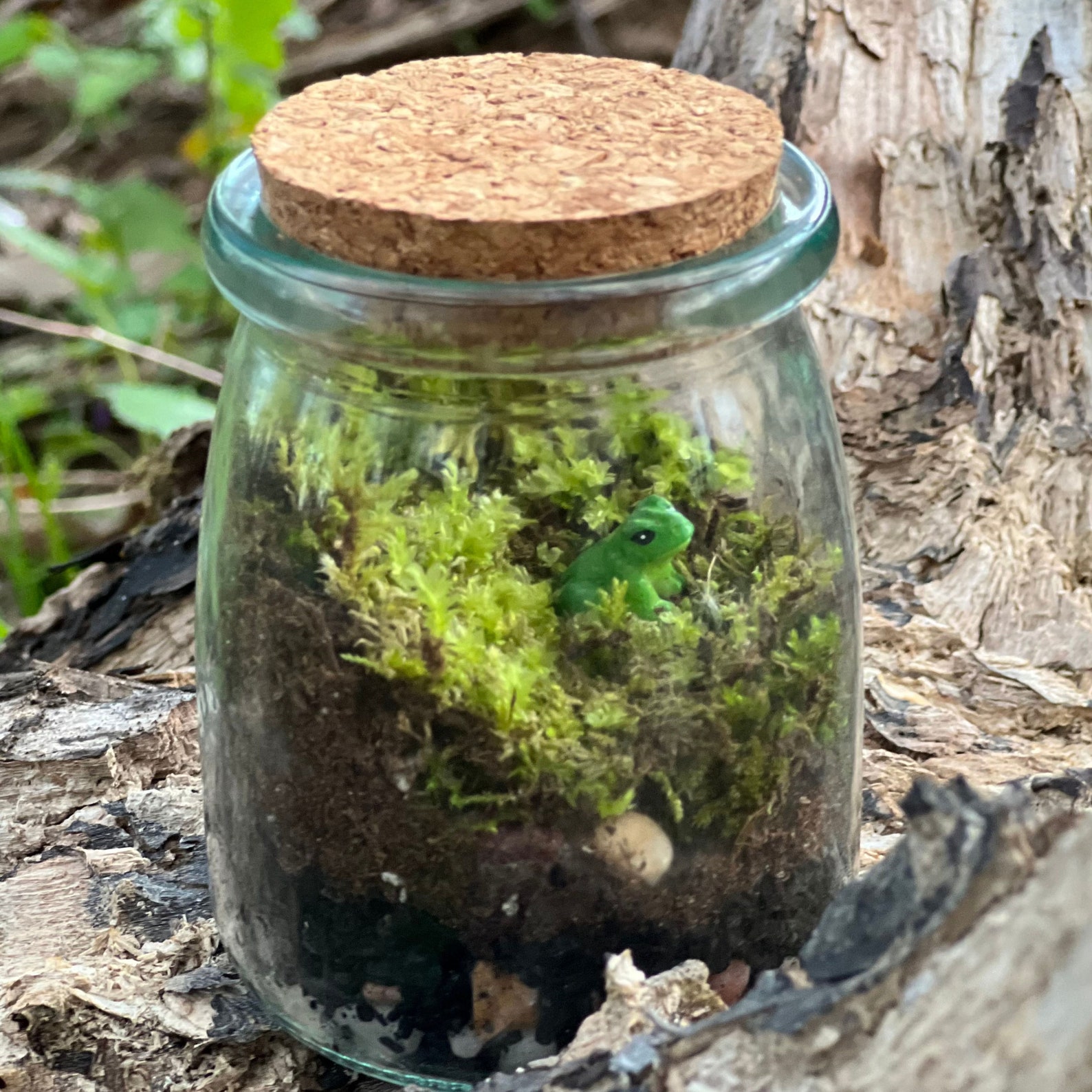 DIY Terrarium Kit for Kids: Woodland Party Favor Activity - Etsy