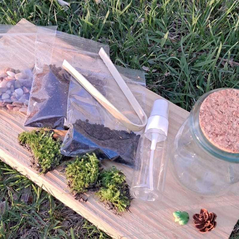 Terrarium Kit - Etsy