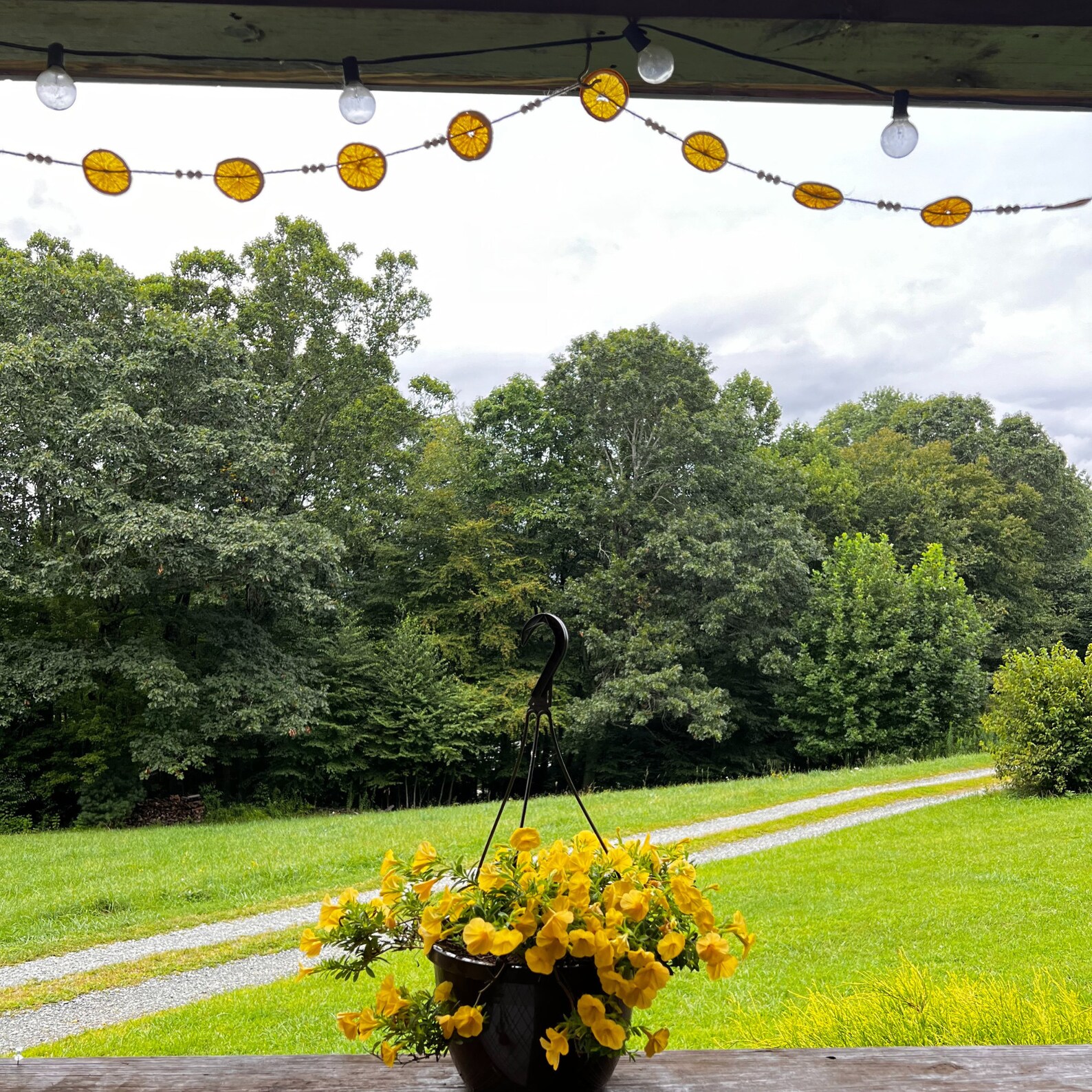 Beaded Orange Garland Boho Wall Hanging Dehydrated Orange - Etsy