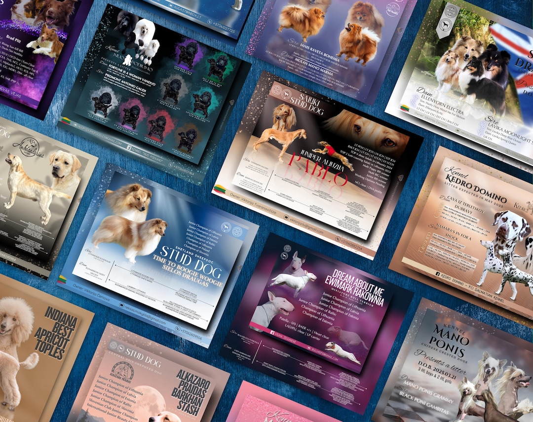 Custom Dog Breeder Designs - Litter Announcements, Stud Dog ...