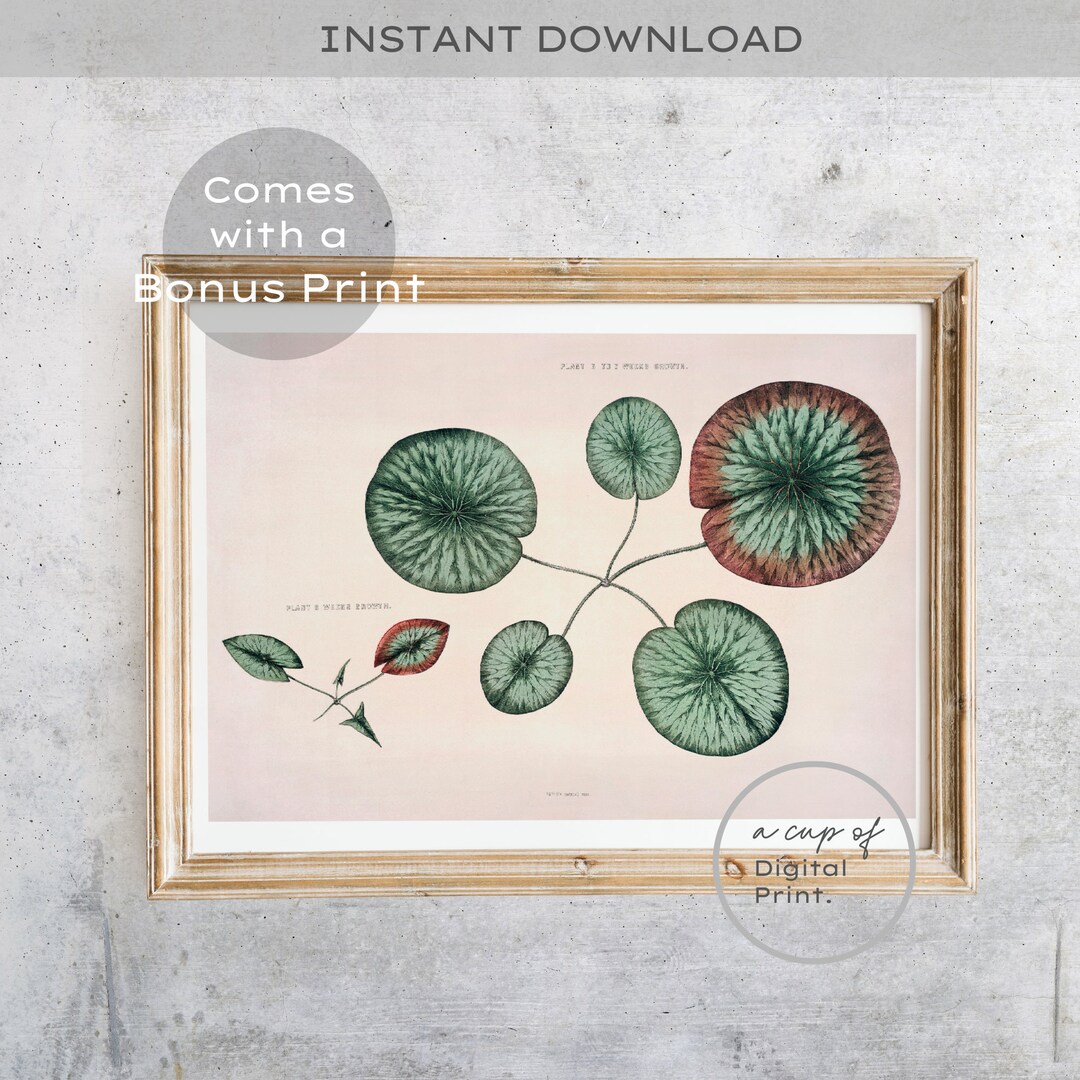 Printable Antique Leaf Drawing, Antique Botanical Sketch Print, Rustic ...