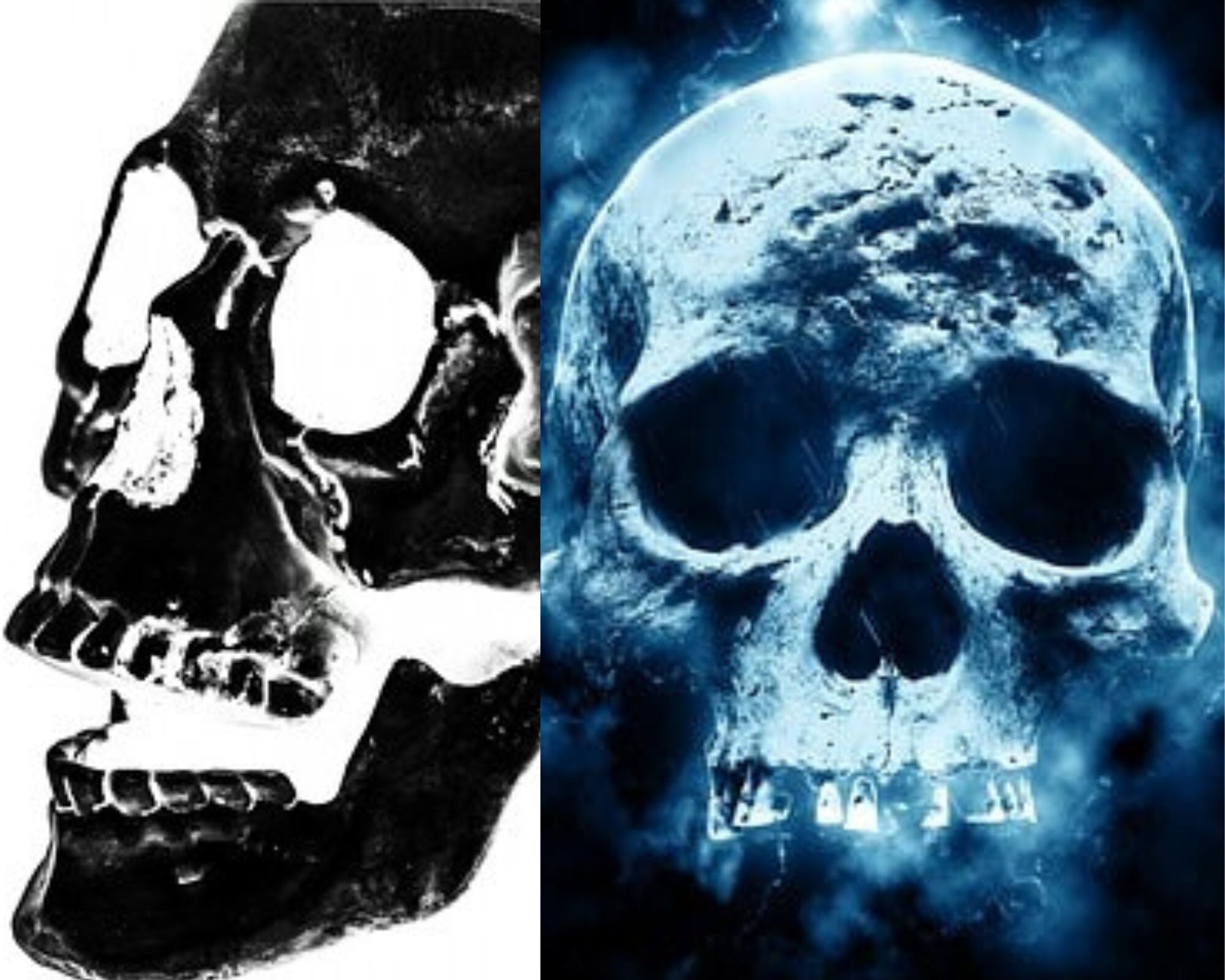 Dual Skull Contrast Light and Dark Instant Printable Download - Etsy
