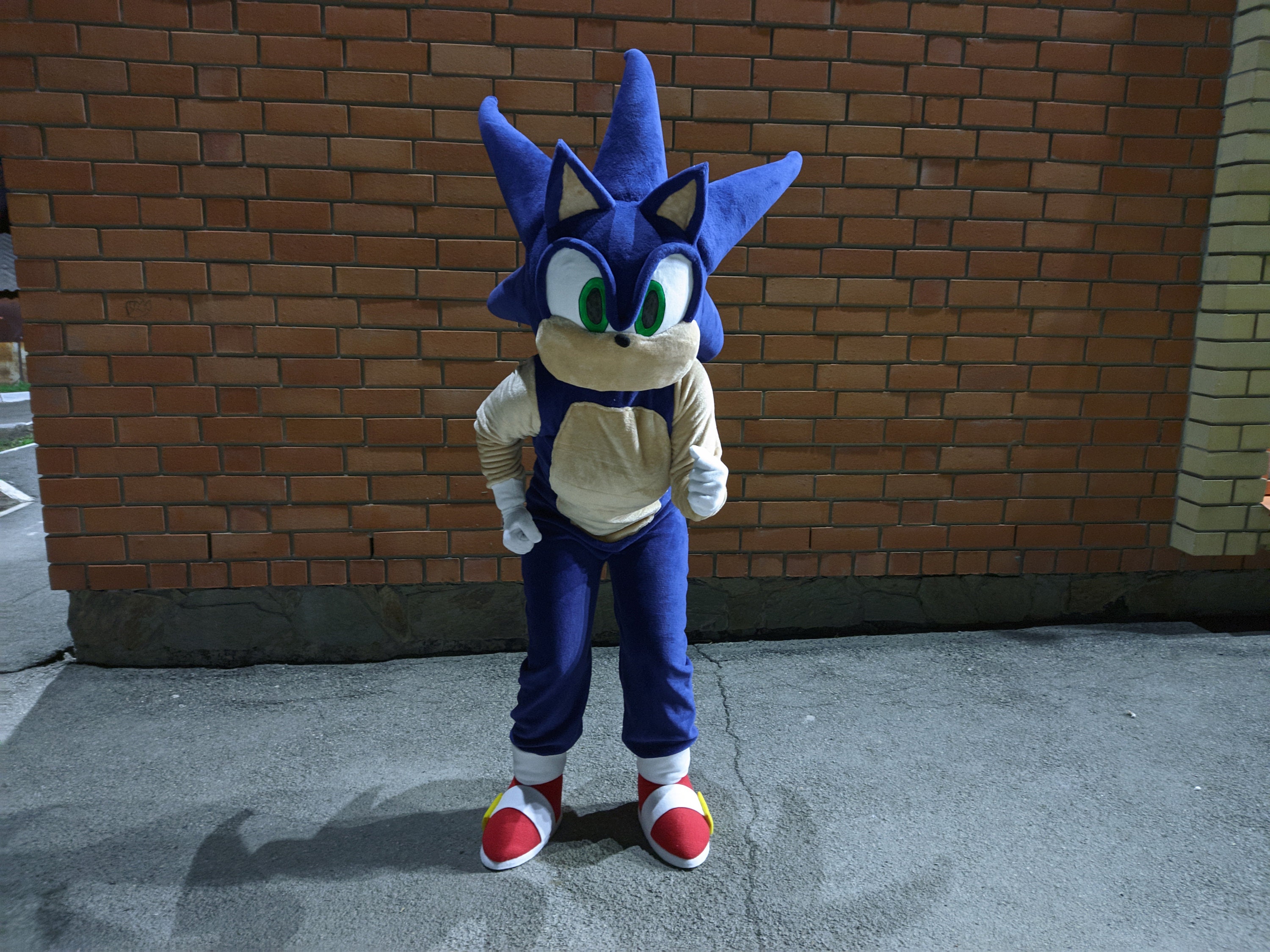 Cosplay Costume Sonic the Hedgehog Halloween - Etsy