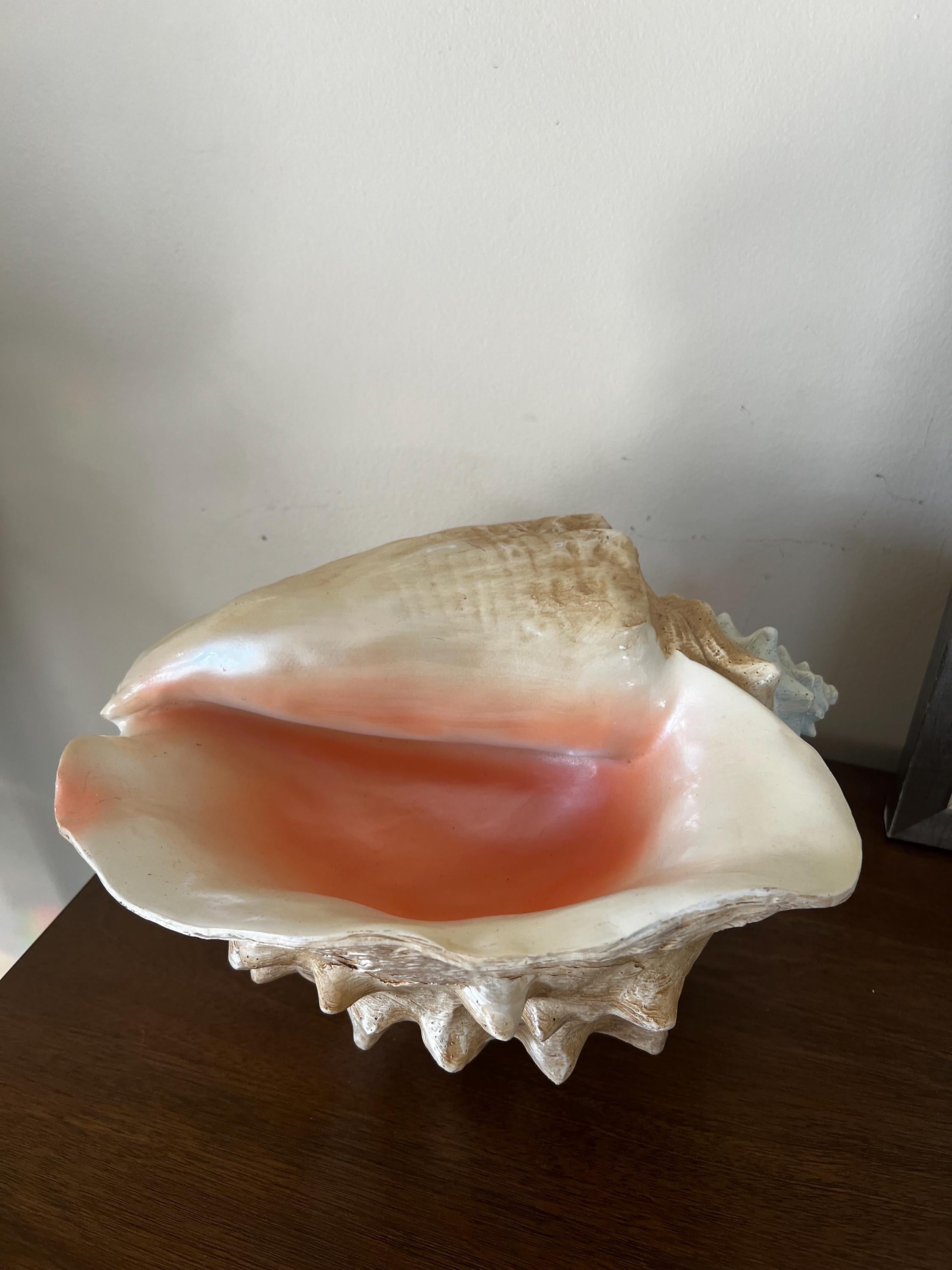 Conch Shell Large Centerpiece Home Decor Seashell - Etsy