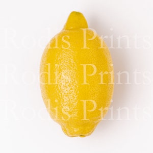 Yellow Lemon Photo Instant Digital Download Wall Art Print Food Food ...