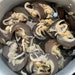 Frozen Fresh Jumbo Snails 10pcs. (1 - 2 Days Shipping) - Etsy