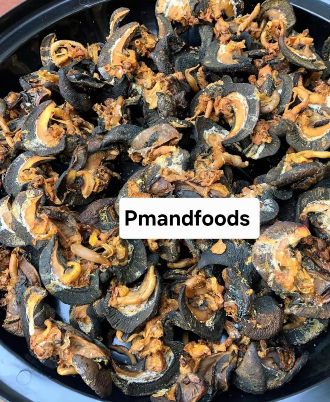 Oven Dried Snails ( 5pcs) - Etsy