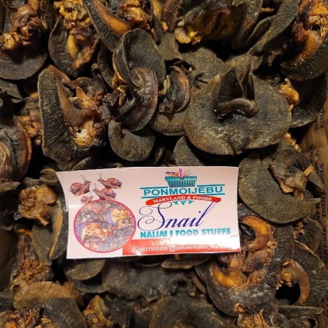 Oven Dried Snails ( 5pcs) - Etsy