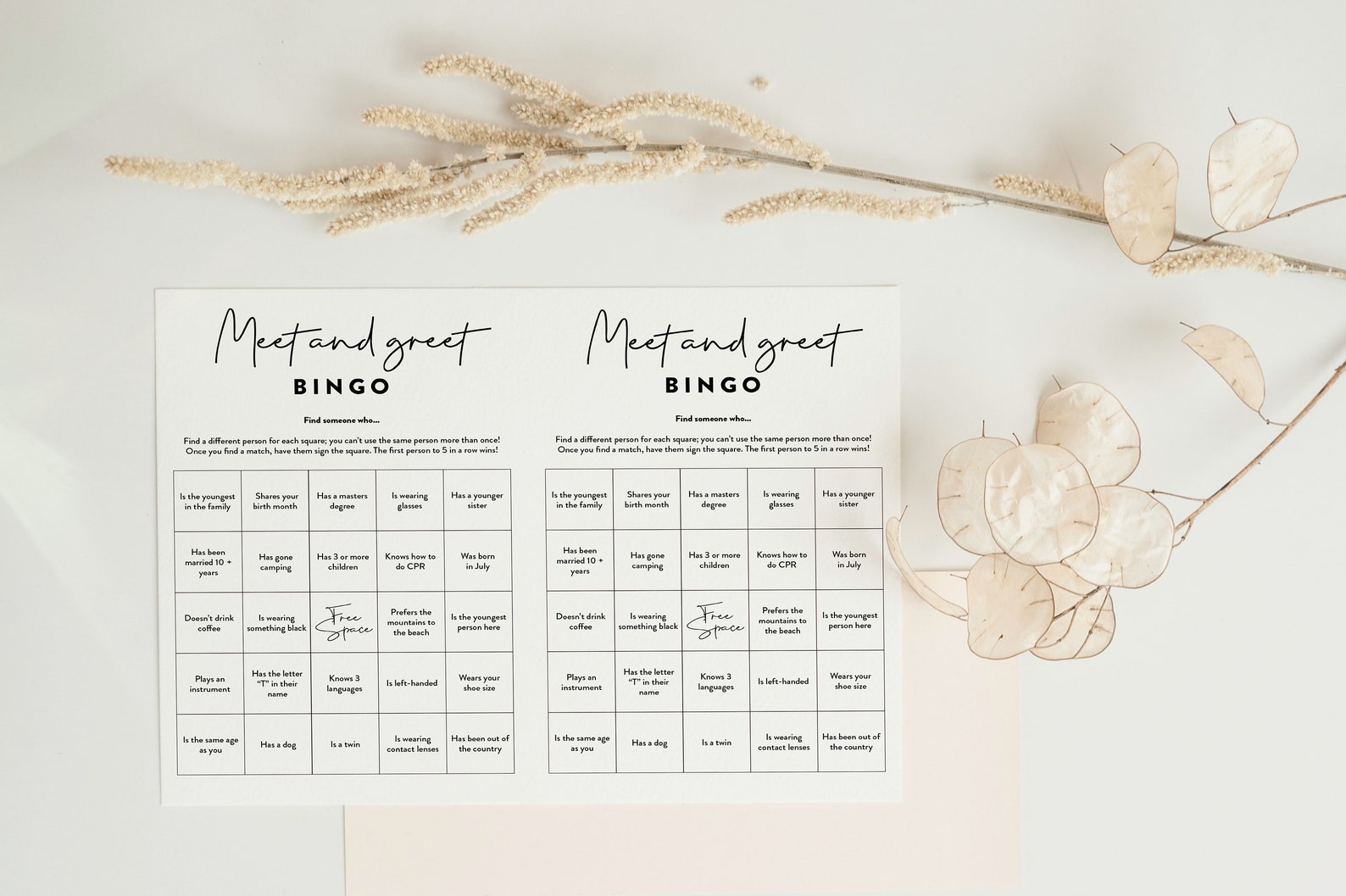 Meet and Greet Bingo - Party Icebreaker Game | Digital Download - Etsy