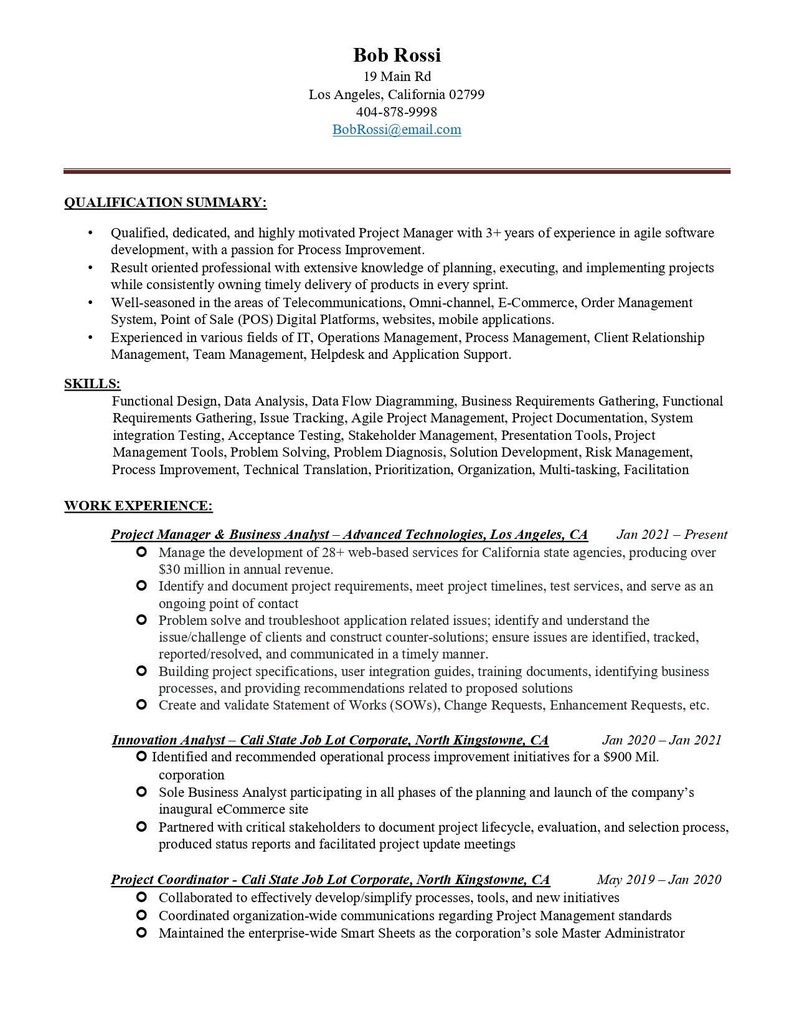 2 Page Clean Professional Project Manager CV Resume ATS Friendly ...
