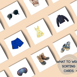 What to Wear, Sorting Cards, Weather Chart, Weather Print, Montessori ...