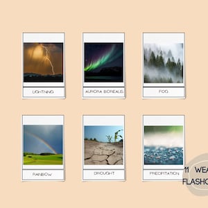 Learn About Weather Flash Cards Types of Weather - Etsy