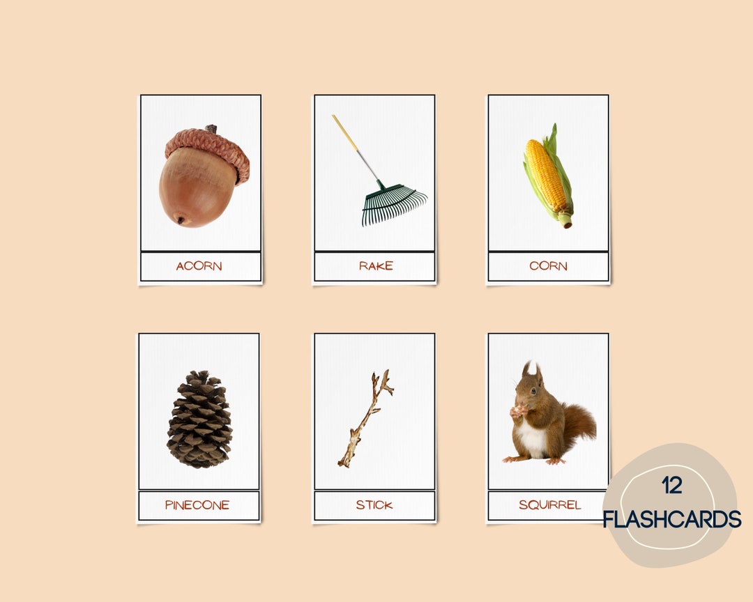 Tarjetas flash de otoño, Nomenclatura de otoño, Montessori, Preescolar ...