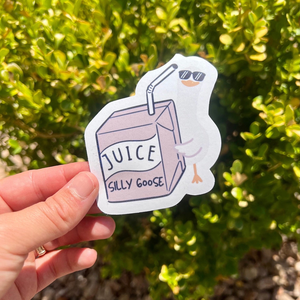 PICK YOUR STICKERS Silly Goose Stickers, Laptop Stickers, Waterproof ...