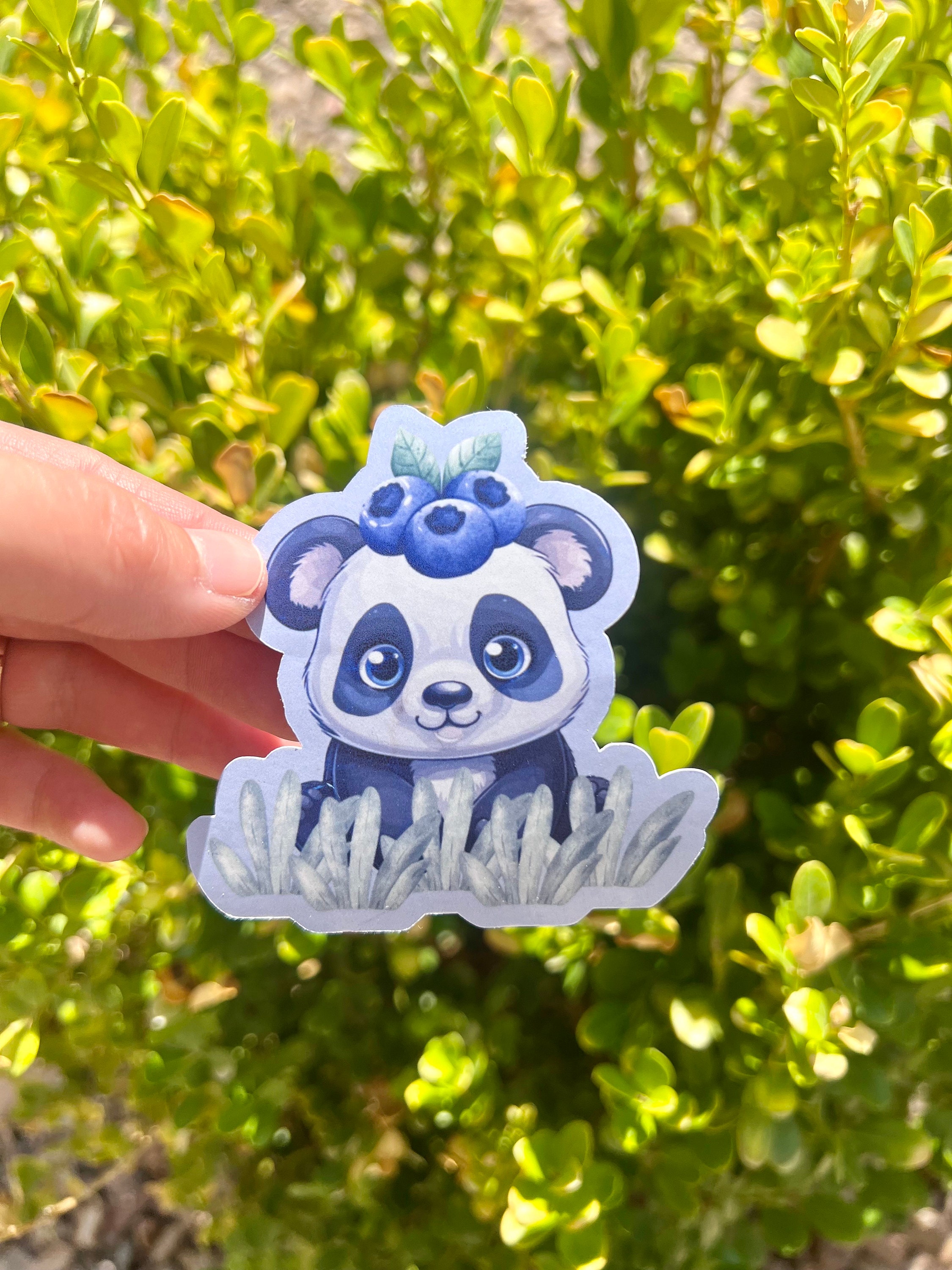 Blueberry Panda Sticker Fruit Panda Cute Stickers Panda - Etsy