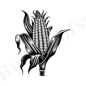 Corn SVG Bundle - Corn Cob Svg Bundle - Corn Clipart - Farm Svg ...
