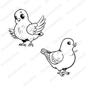 Pigeon SVG Bundle - Pigeon Png - Cute Pigeon Svg Bundle - Cute Baby ...